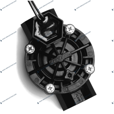Electrovanne Rain Bird, spécialiste de l'arrosage du jardin